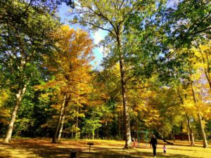 The Outdoor Soul’s Family Fall Color Tour 2018 - The Outdoor Soul