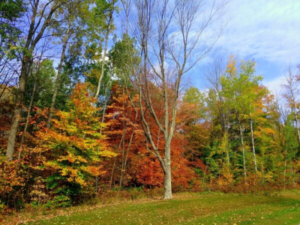 The Outdoor Soul’s Family Fall Color Tour 2018 - The Outdoor Soul